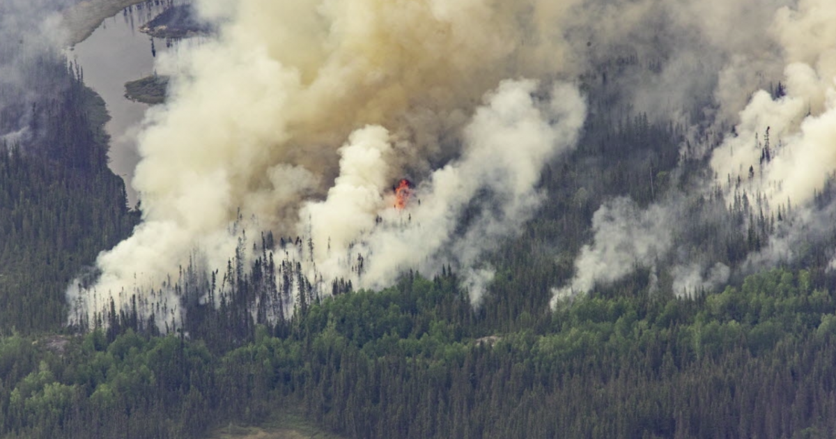 D’autres feux de forêts au Québec | Articles | Les as de l'info