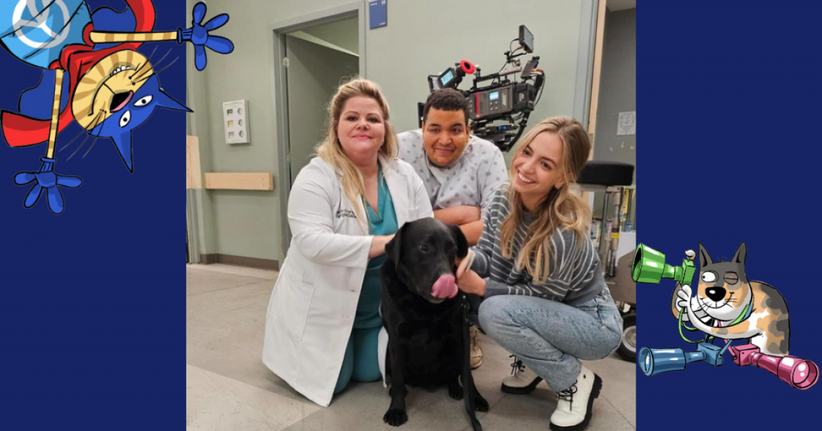 La SPCA inspirée par l'émission «STAT»! 🐶 | Articles | Les as de l'info