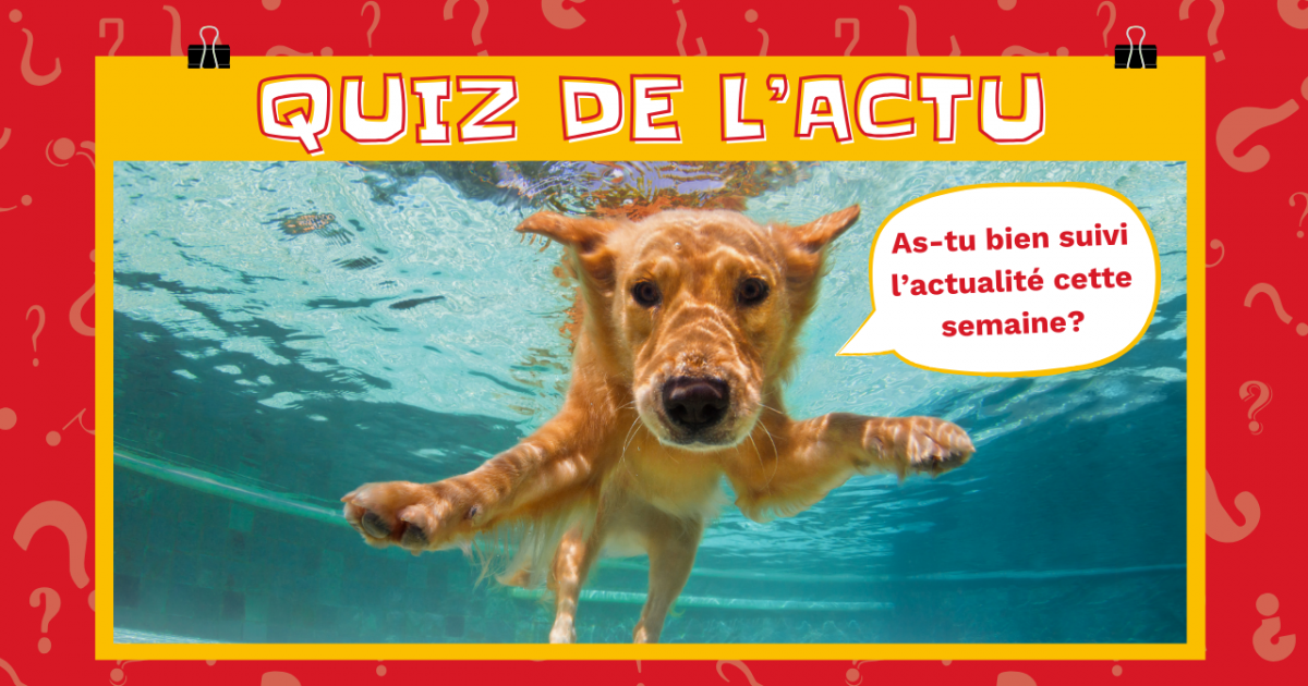 Quiz: Maringouin, orthographe et naissance au zoo! | Articles | Les as ...