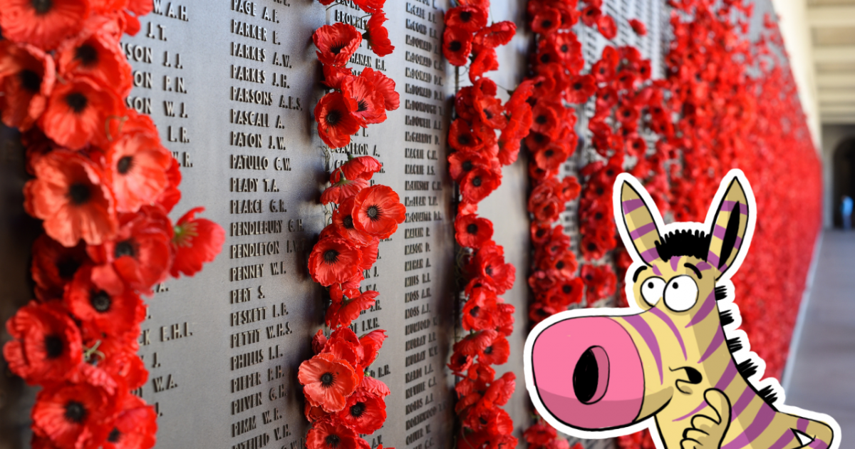 Que souligne-t-on le jour du Souvenir?|Le jour du Souvenir | Dossiers ...