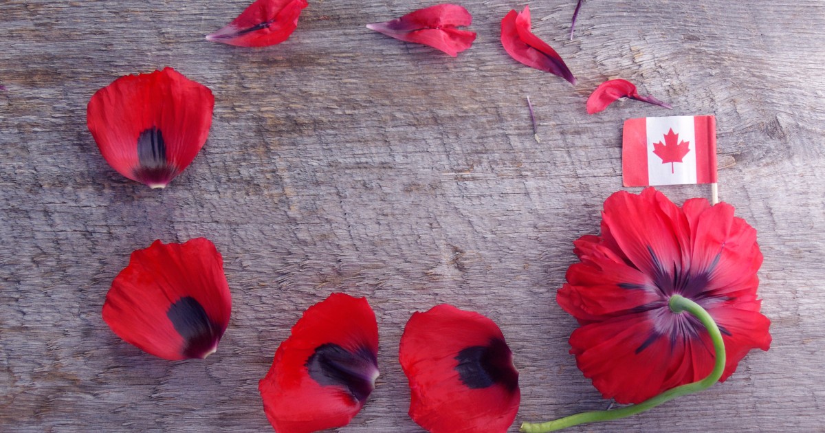 Le jour du Souvenir | Dossiers spéciaux | Les as de l'info