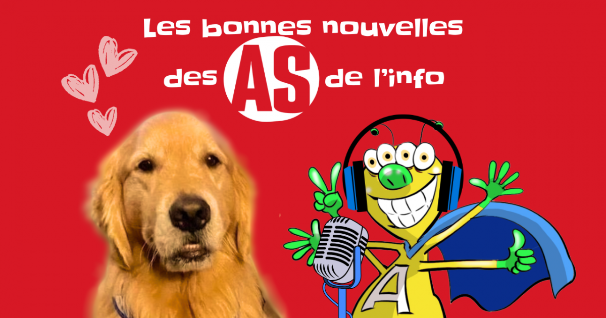 Beacon, le chien de thérapie d’une équipe de gymnastique américaine ...