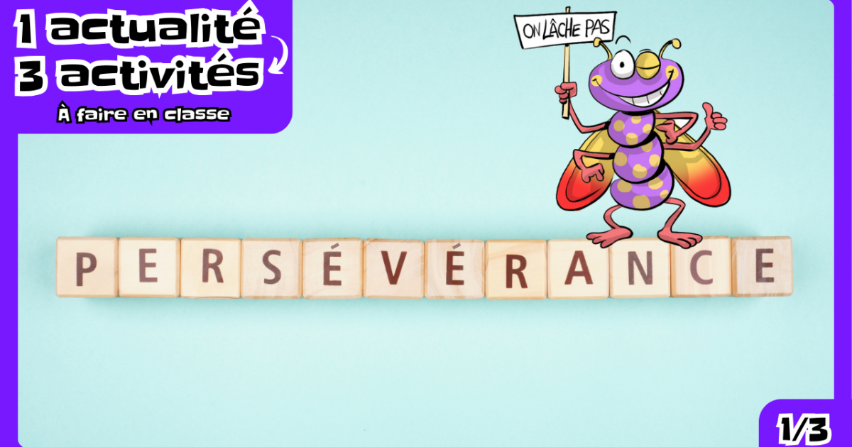 Activité pédagogique (1): La persévérance scolaire | Articles | Les as de l'info