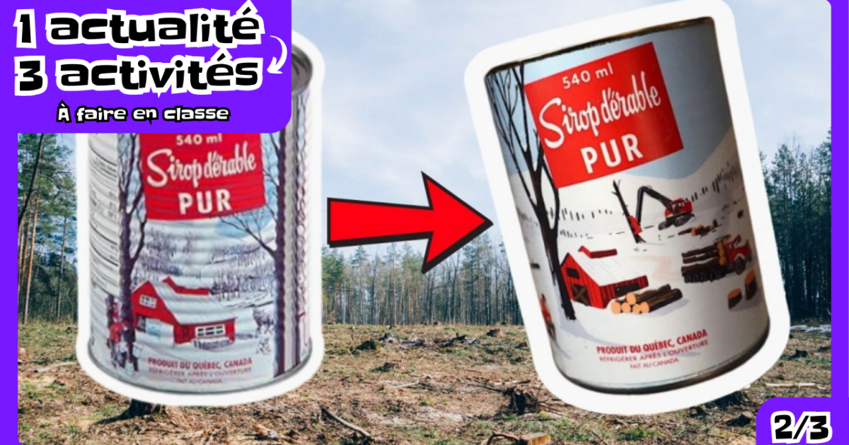 Activité pédagogique(2): Pas de forêt, pas de sirop d’érable ...