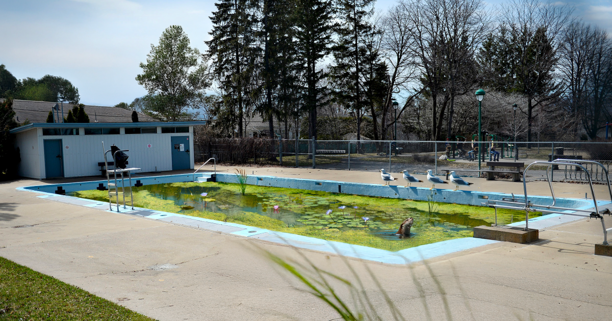 La moitié des piscines seront transformées en marais |Poisson d'avril ...