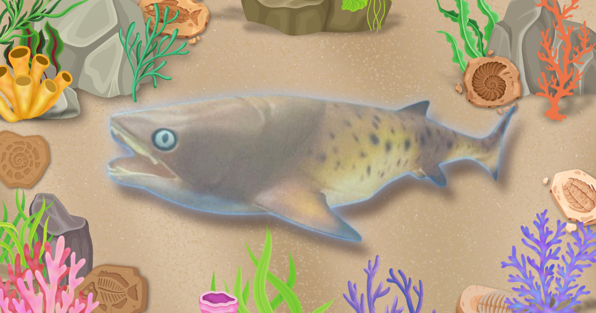 Ce poisson très ancien serait-il ton ancêtre?! | Articles | Les as de l ...