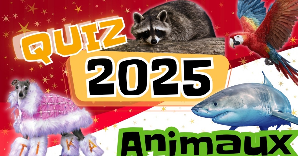 Quiz 2025: Animaux | Articles | Les as de l'info